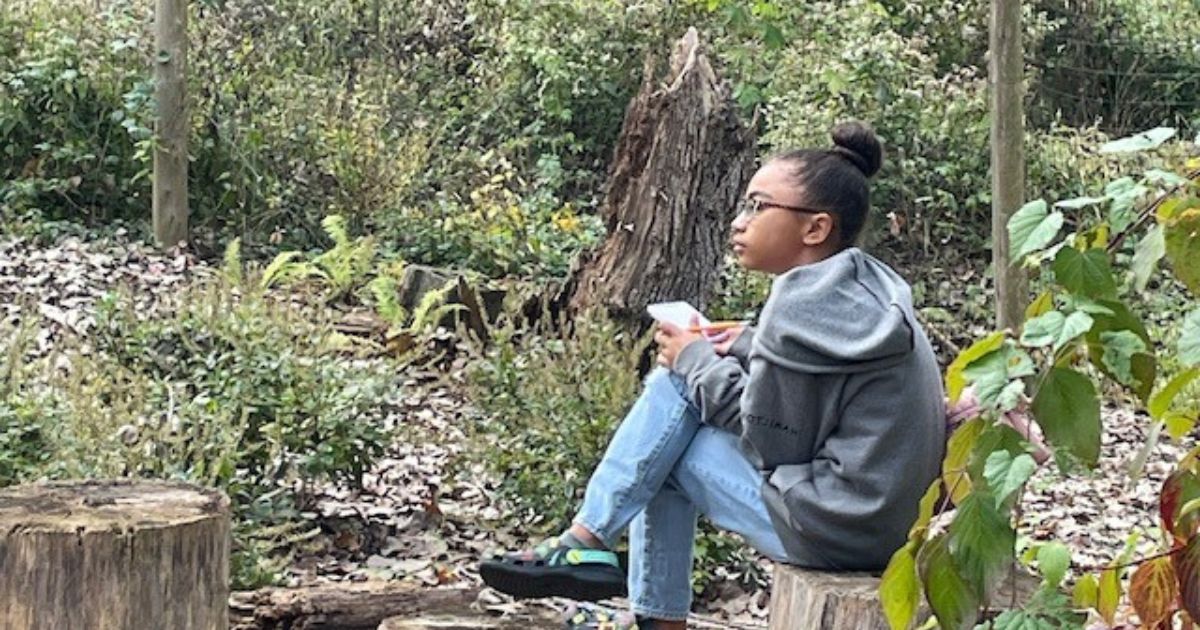 Revisiting Teaneck Creek: Lessons Learned for Lasting Collaboration in Greening STEM | The ...